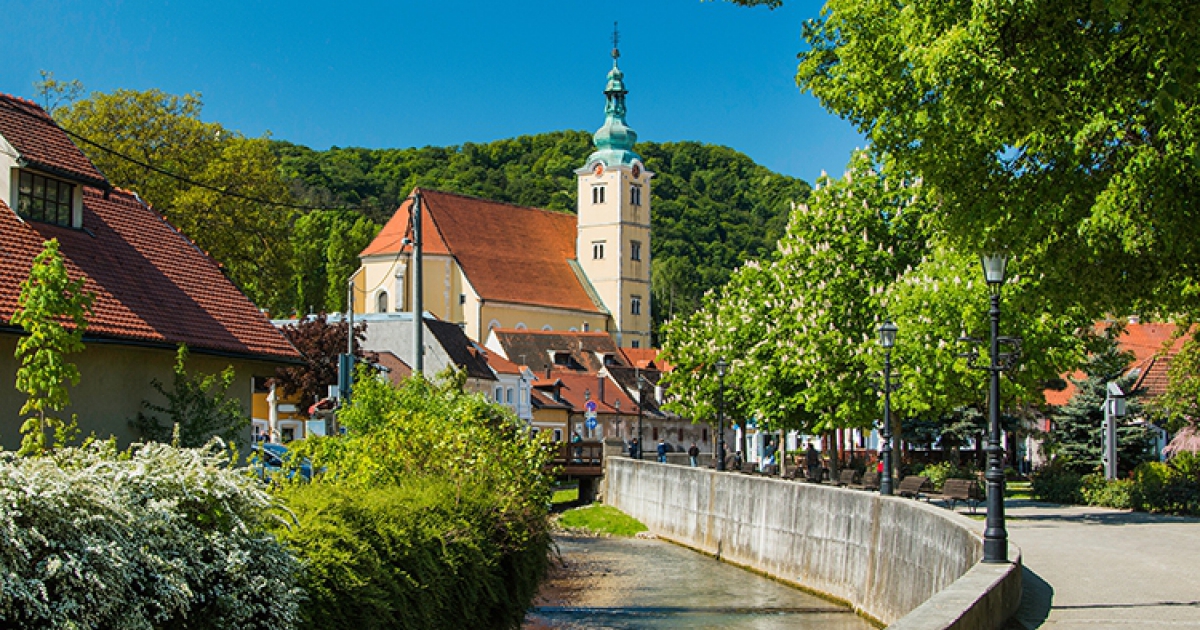 Samoborski fašnik 2025: Bliski susreti fašničke vrste | Crozilla Blog