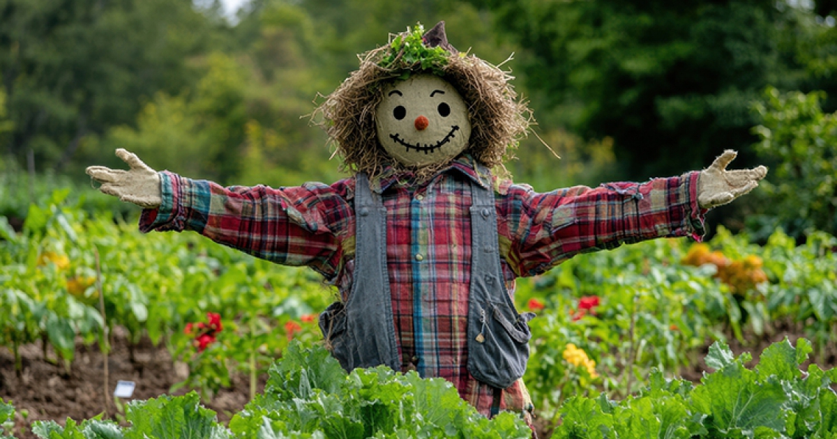 Kako napraviti strašilo za svoj vrt – uradi sam | Crozilla Blog