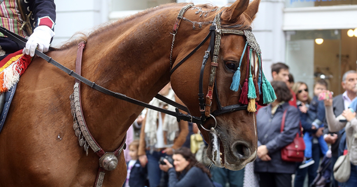 Festivali i događanja u Hrvatskoj koje ne smijete propustiti (2025 ...
