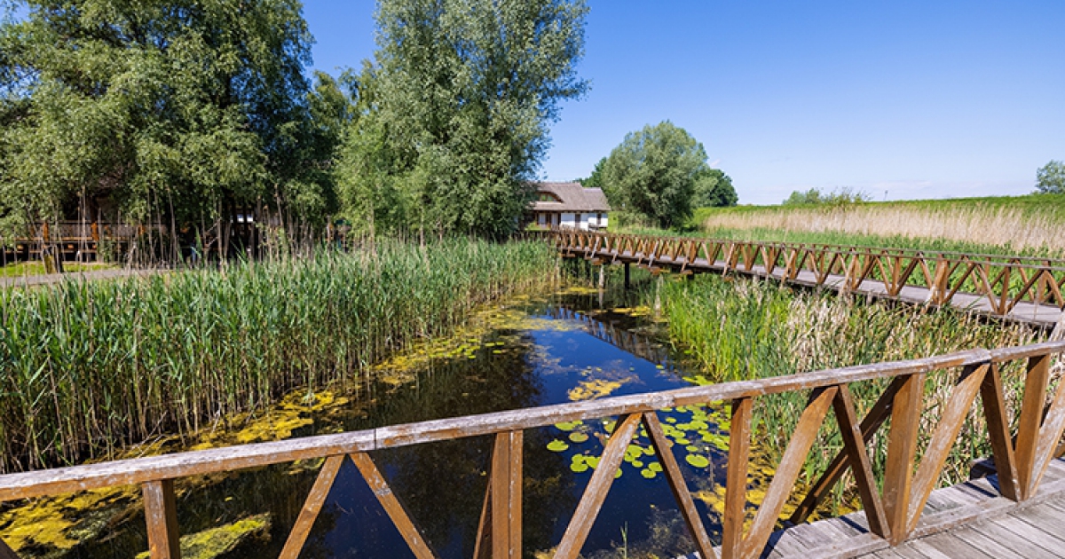 Kopački rit: Hrvatska Amazona | Crozilla Blog