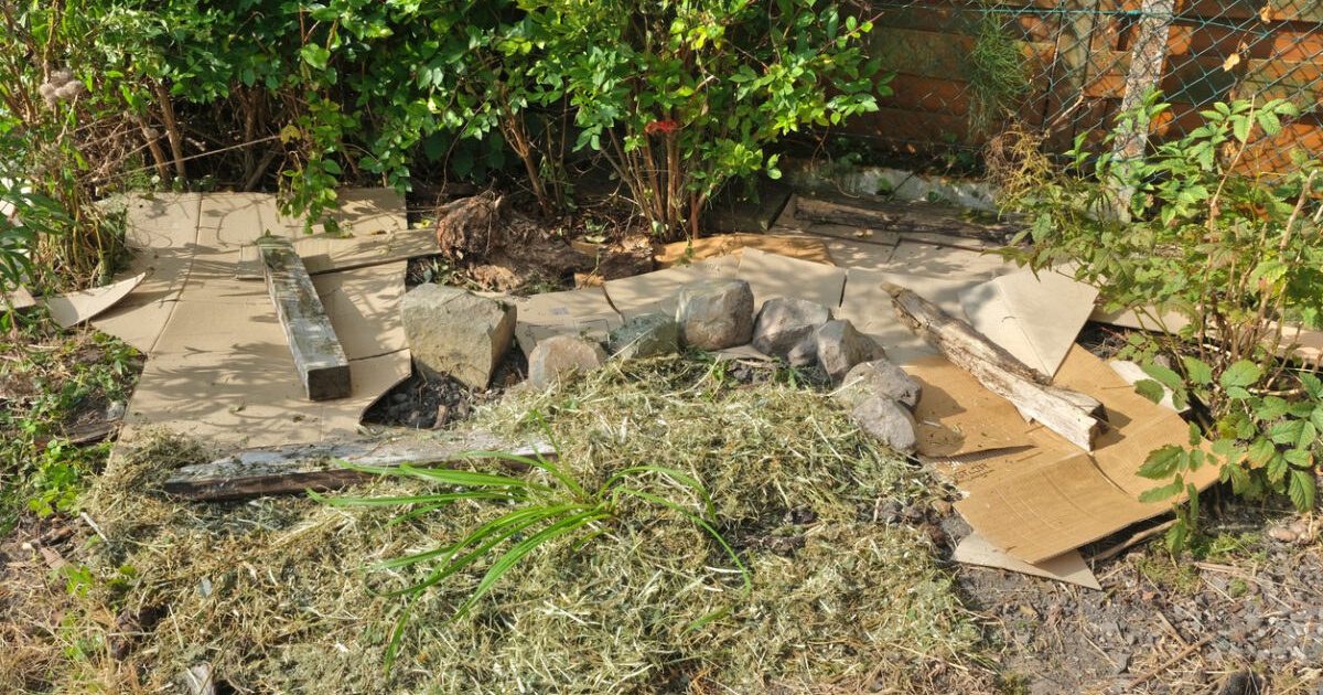 Kako koristiti papir i kartonske kutije za malčiranje | Crozilla Blog