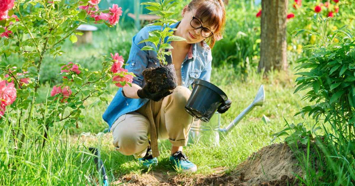 Proljetni radovi u vrtu – što, kada i kako raditi | Crozilla Blog